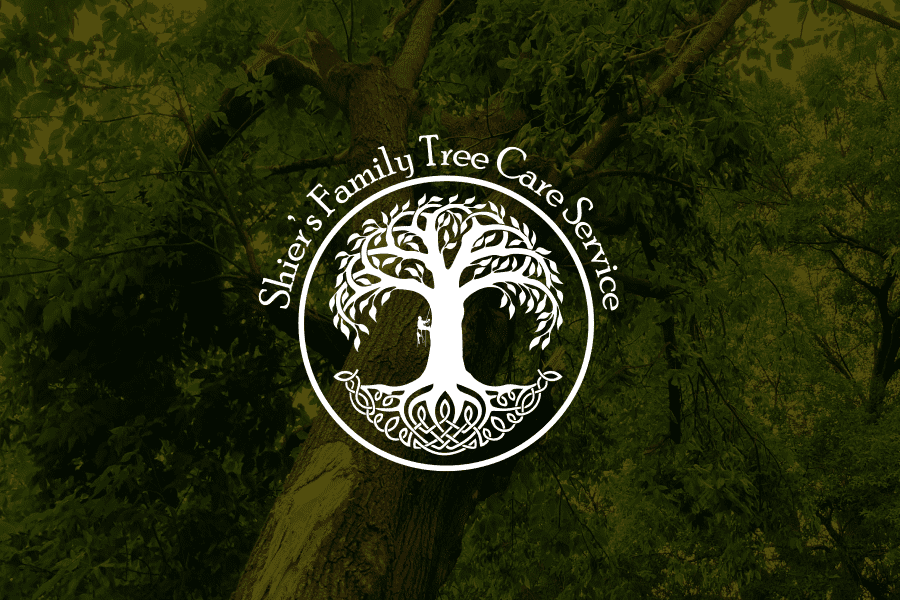 Tree Service Independence, MO | $50 Off For Veterans