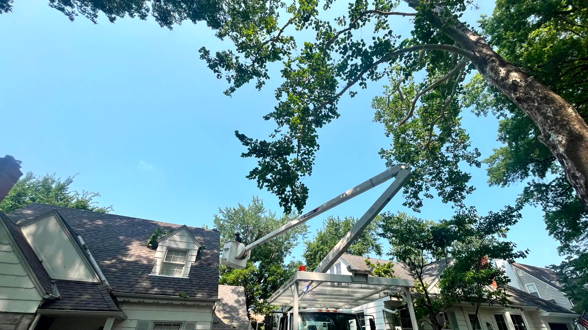 Tree Service Independence, MO | $50 Off For Veterans